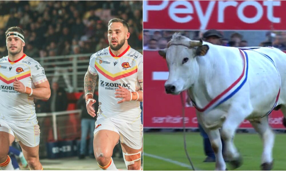 The story behind the bizarre bull incident in Super League - Serious ...